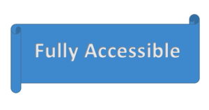 Fully accessible. What does it mean? - CUDA post
